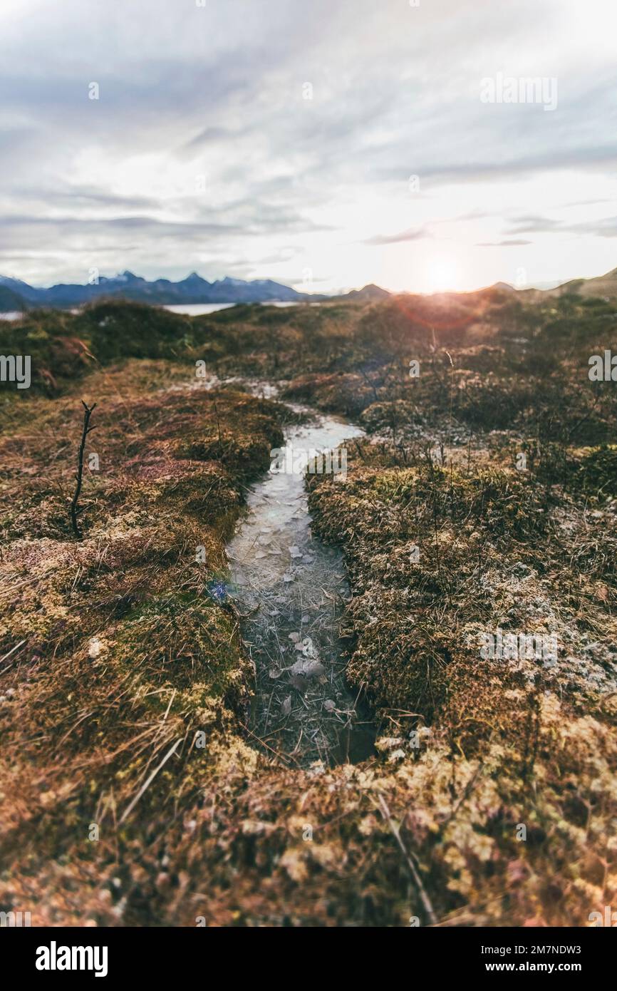 Typical fjord landscape in autumn in vesteralen hi-res stock ...