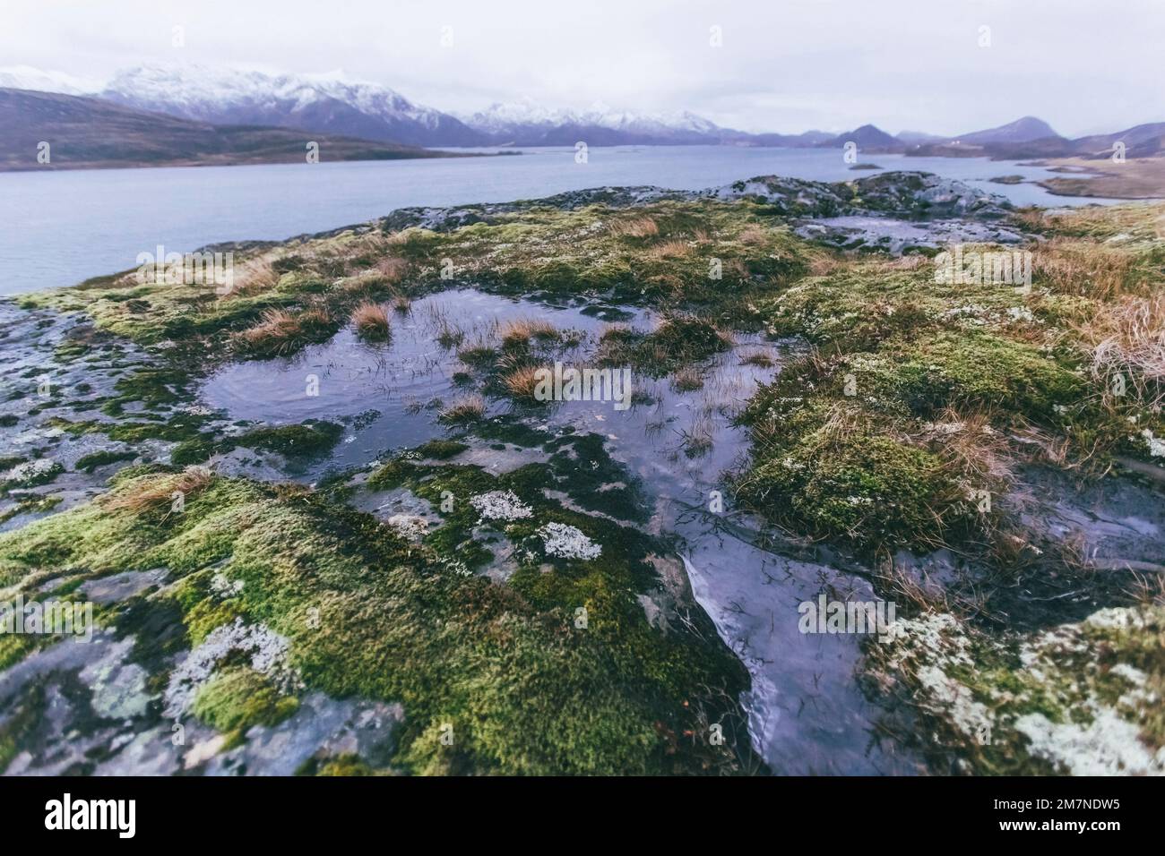 Splendor of colors of the nordic coastal landscape with rocks hi-res ...