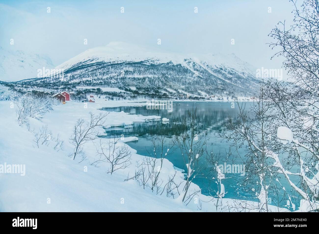 Lonely snowy fishing village on the fjord in Norway, typical fjord ...
