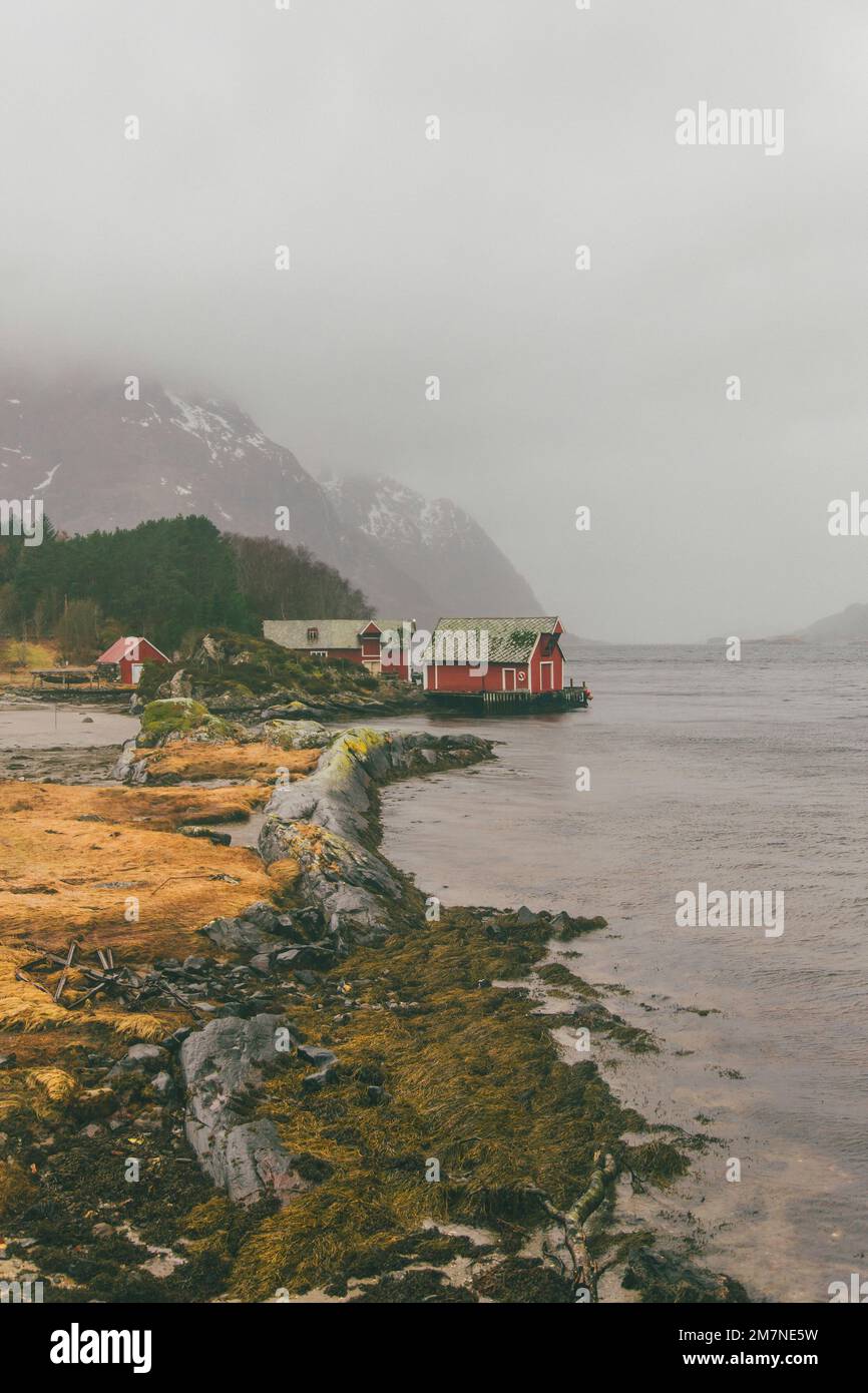 Three red lonely fishing huts on the fjord in Norway, typical fjord ...