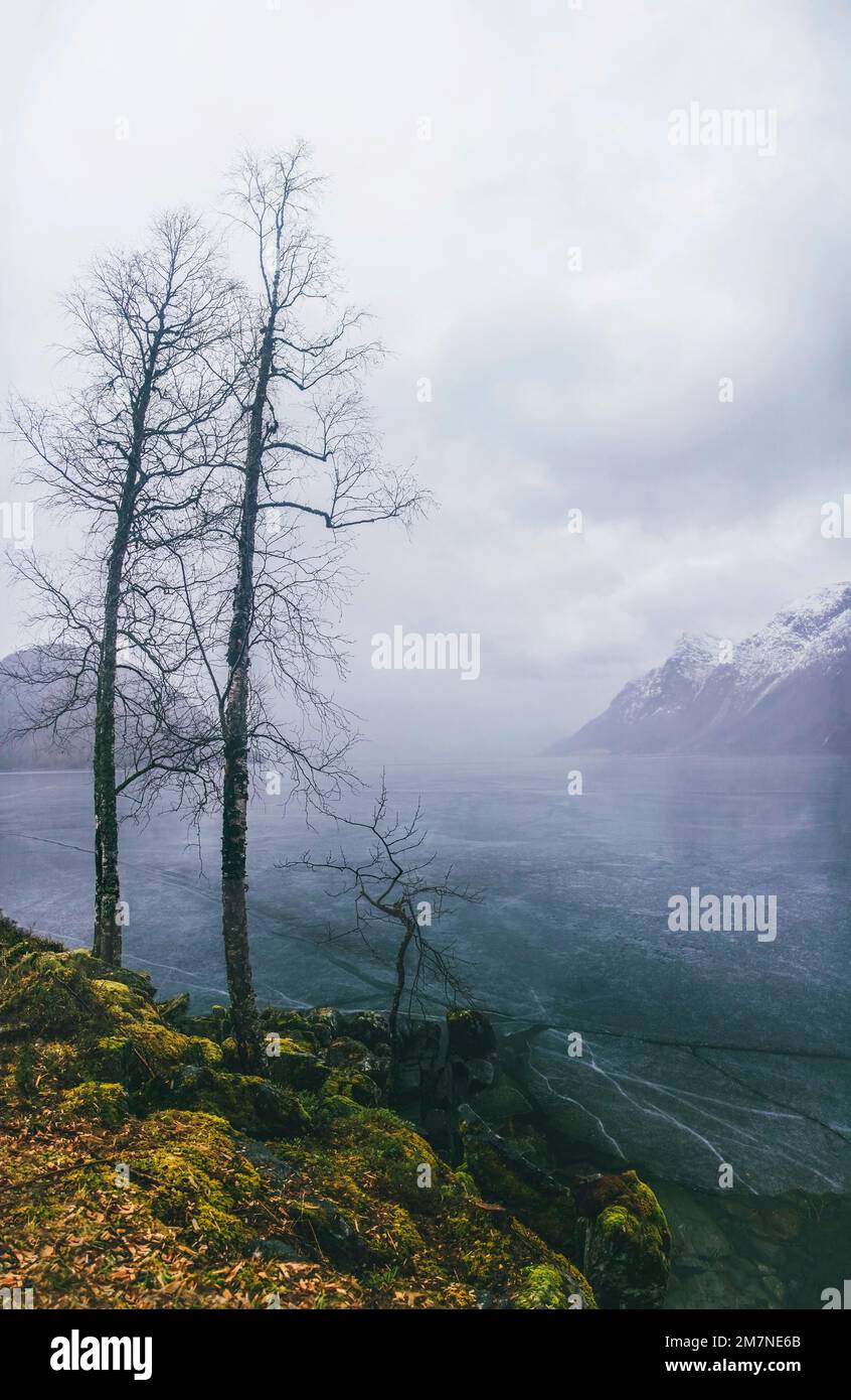Fjord landscape in Nordland, Norway, frozen and icy sea surface, fjord ...