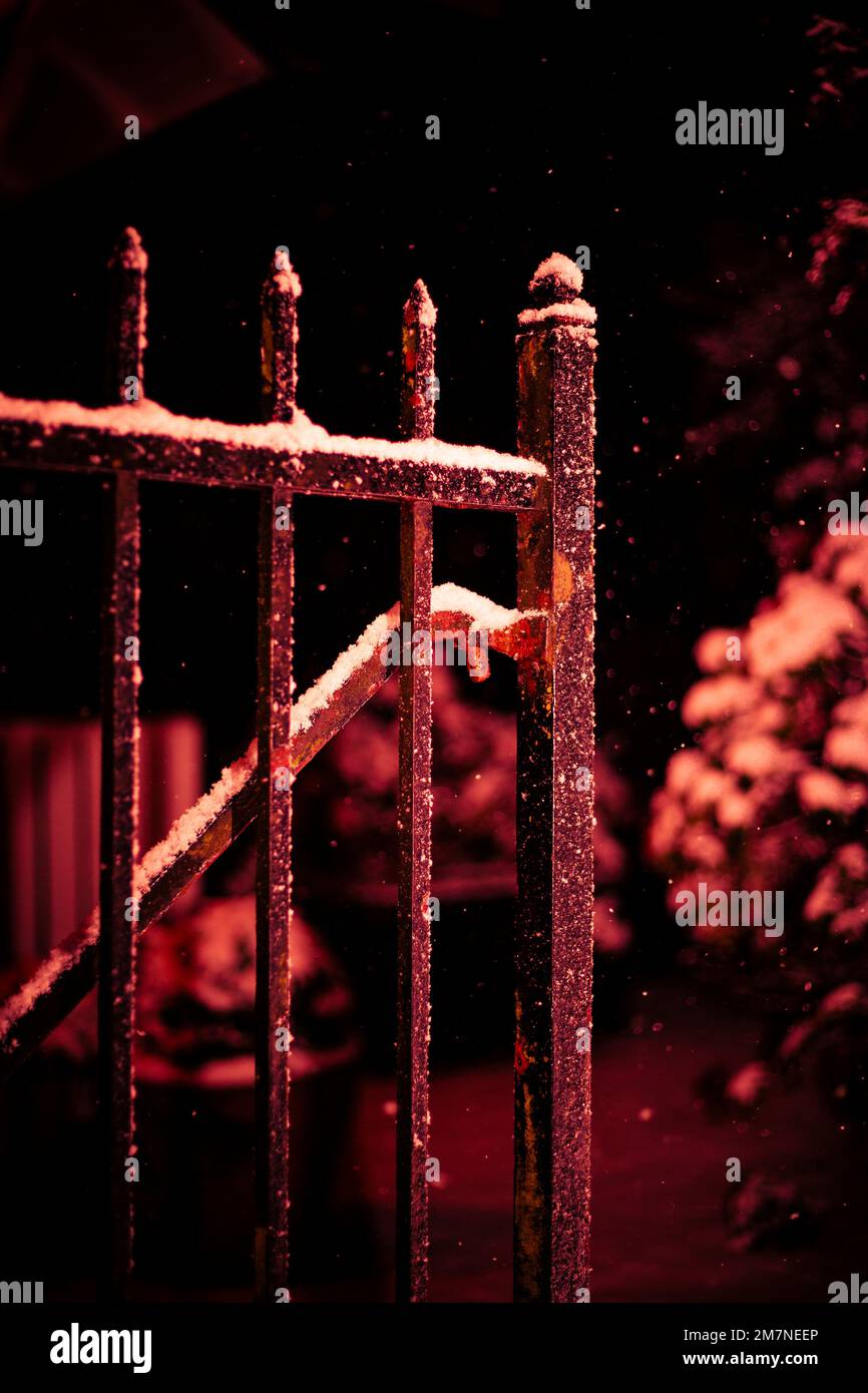 Snow covered lattice fence bathed in red light in snowfall hi-res stock ...