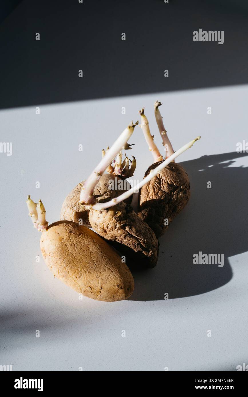 Surface storage hi-res stock photography and images - Alamy