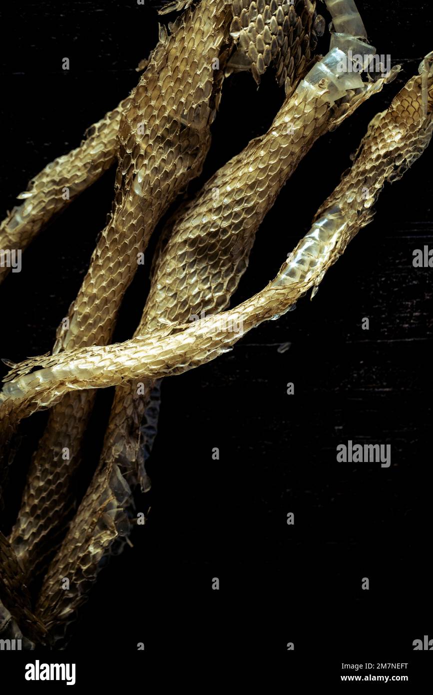 Dried layer hi-res stock photography and images - Alamy