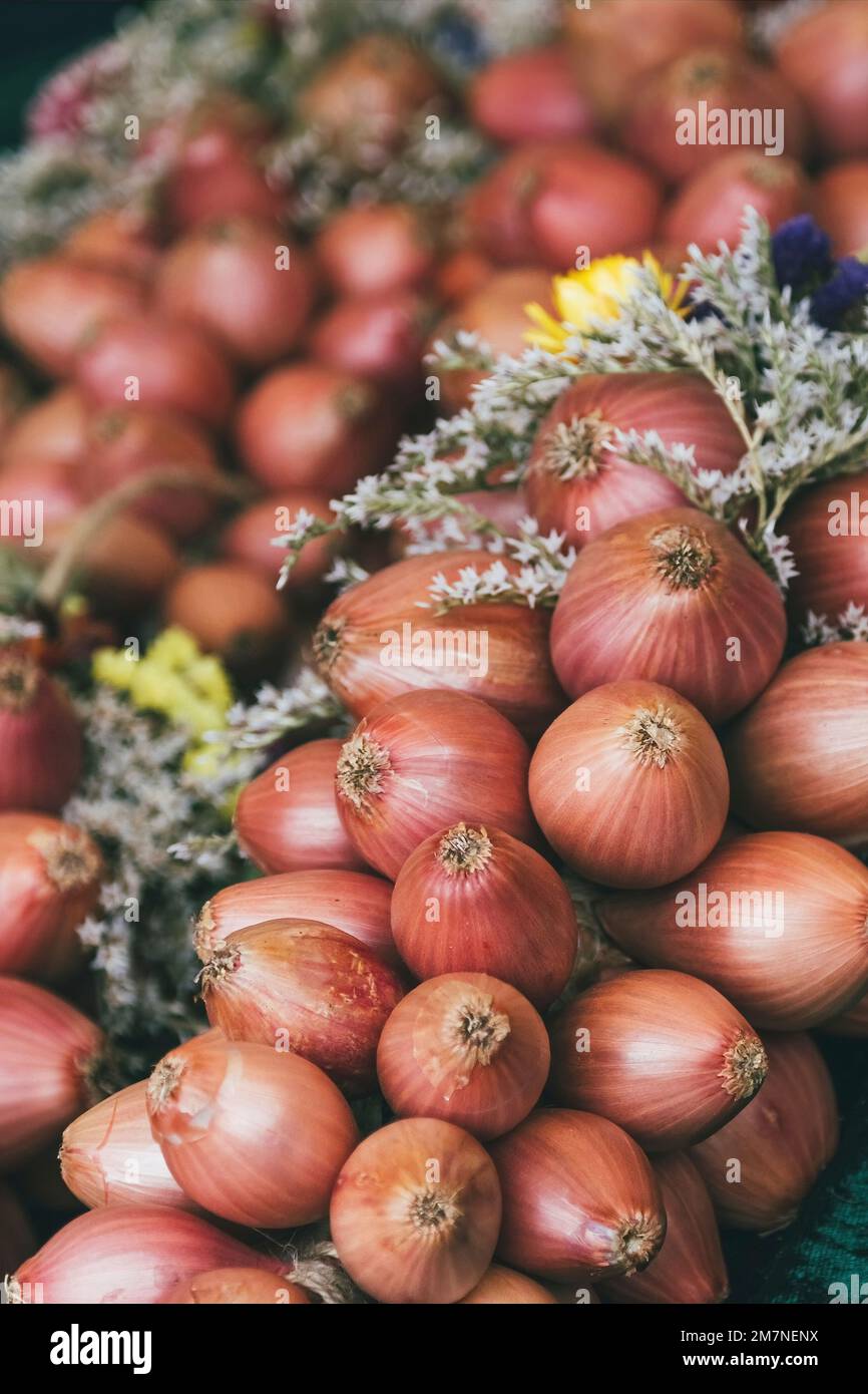 Detail photo of braided onion plait, traditional Zibelemärit, onion ...