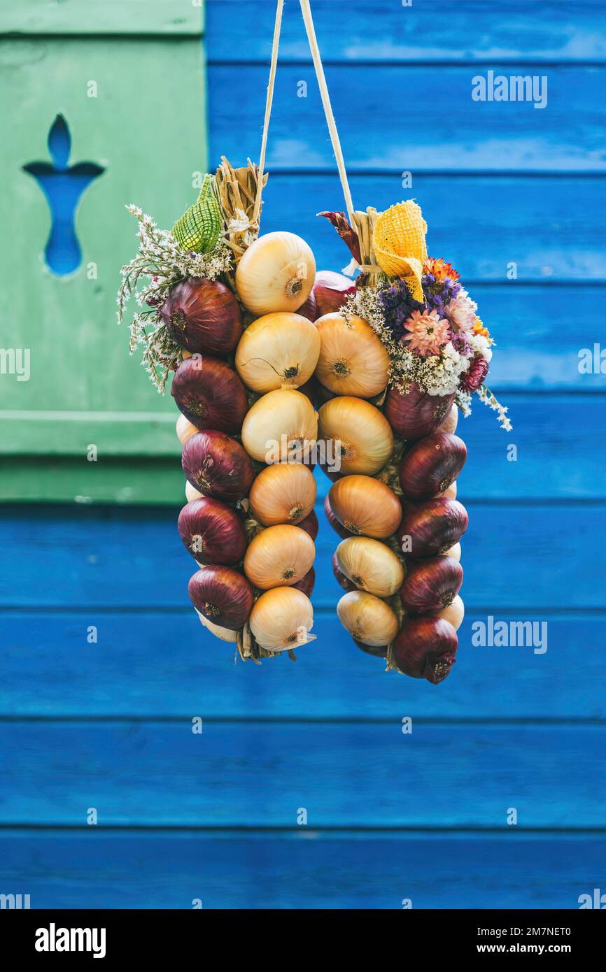 Onion braids in front of blue wooden wall, traditional Zibelemärit ...