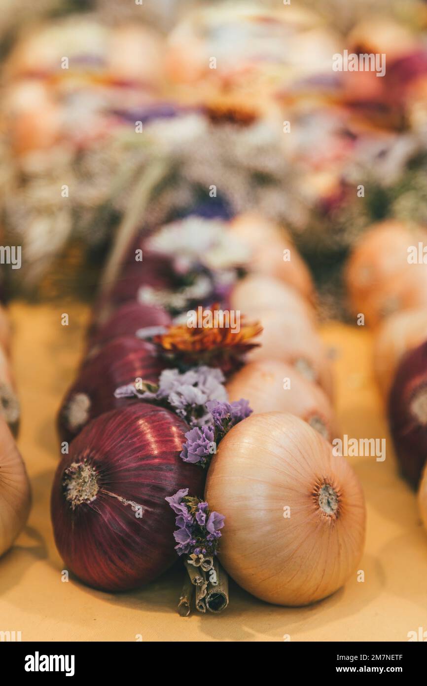 Photo of an onion hi-res stock photography and images - Alamy