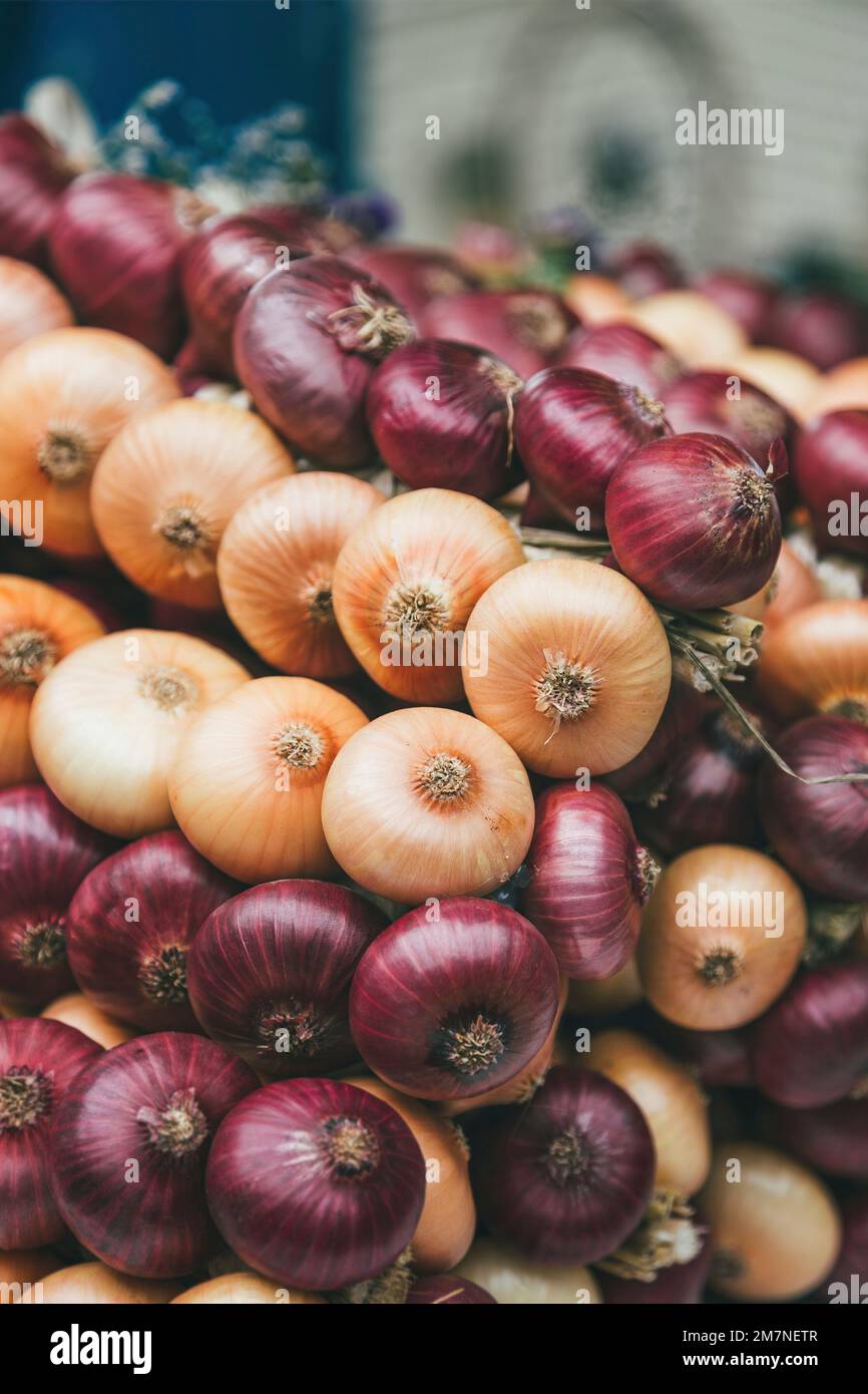 Traditional Zibelemärit, onion market in Bern, Switzerland, edible ...