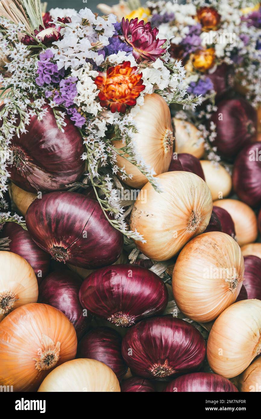 Detail photo of an onion plait, traditional Zibelemärit, onion market ...