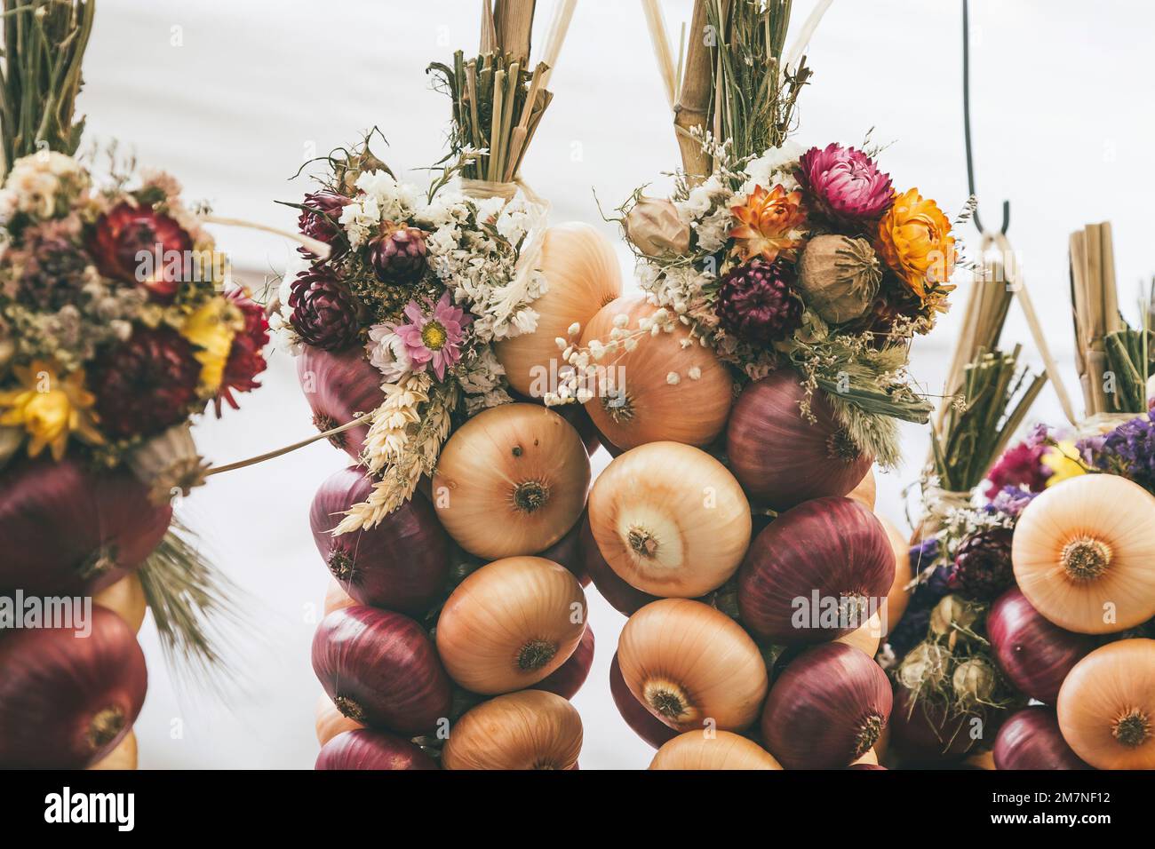 Traditional Zibelemärit, onion market in Bern, Switzerland, edible ...