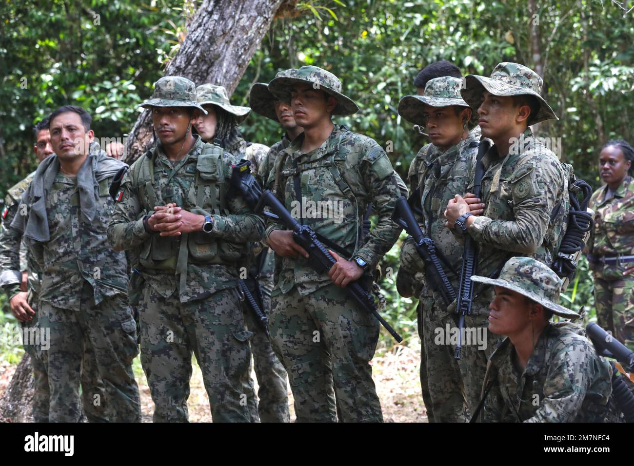 Belizean and Mexican forces received jungle survival training from US ...
