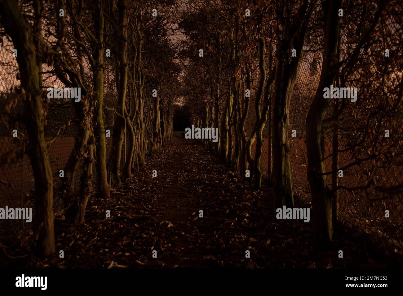 Horror creepy walk way hi-res stock photography and images - Alamy