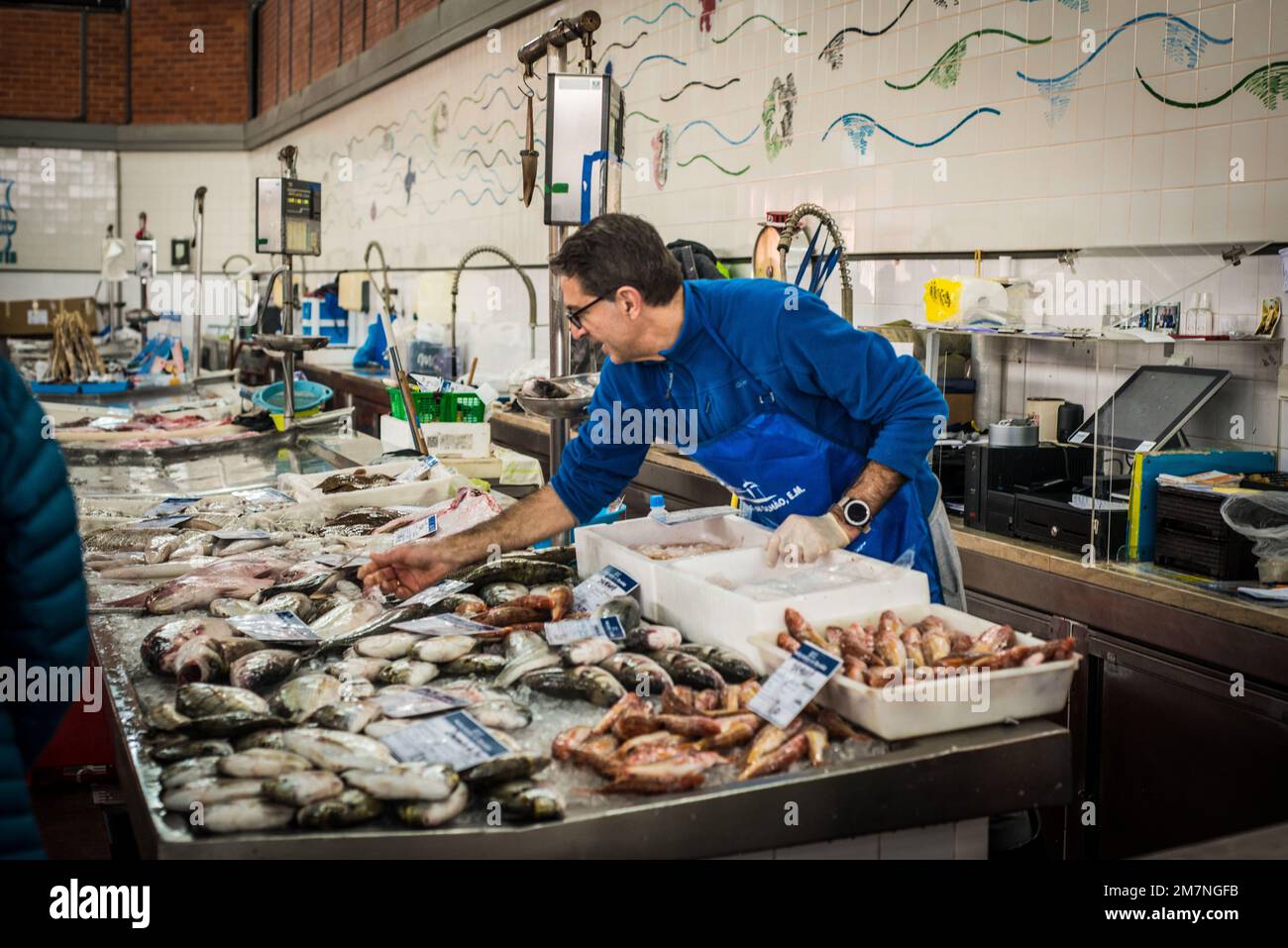 Algarve fish market, tavira, Portugal Stock Photo - Alamy