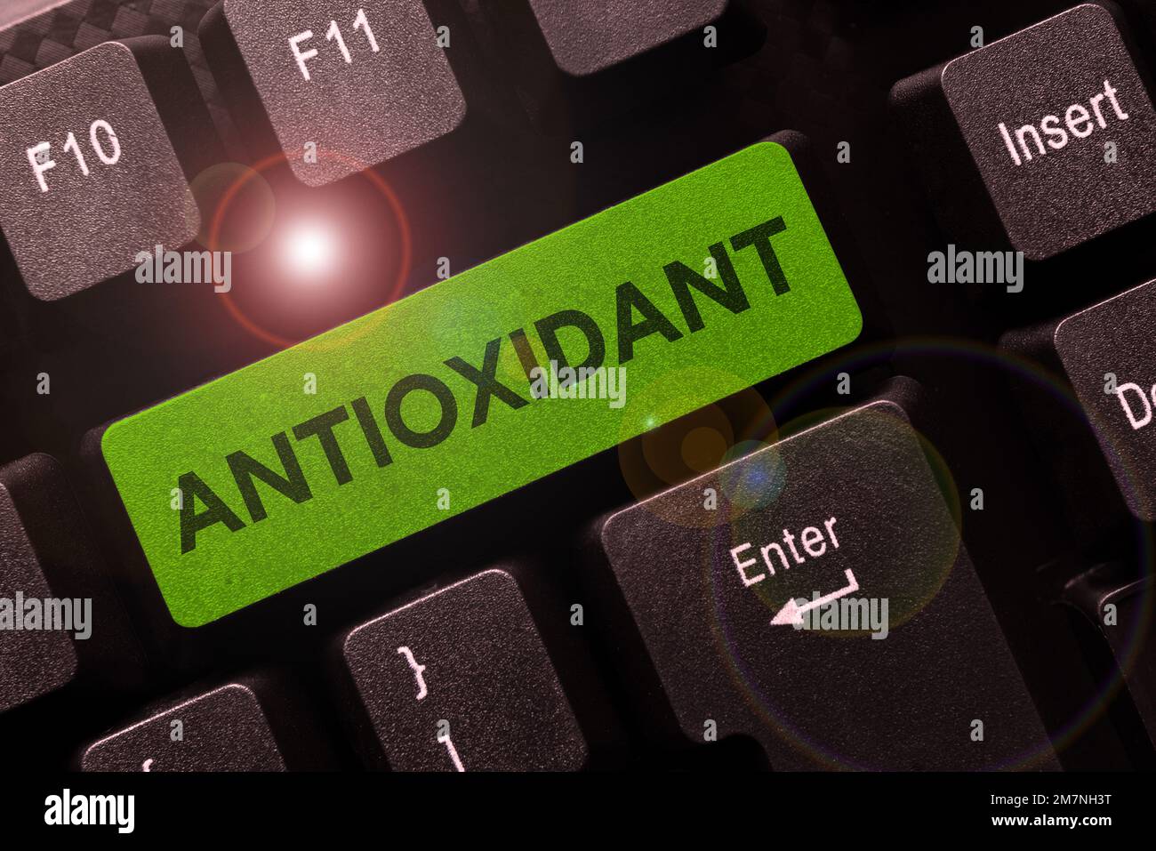 Text sign showing Antioxidant, Business overview a substance that ...