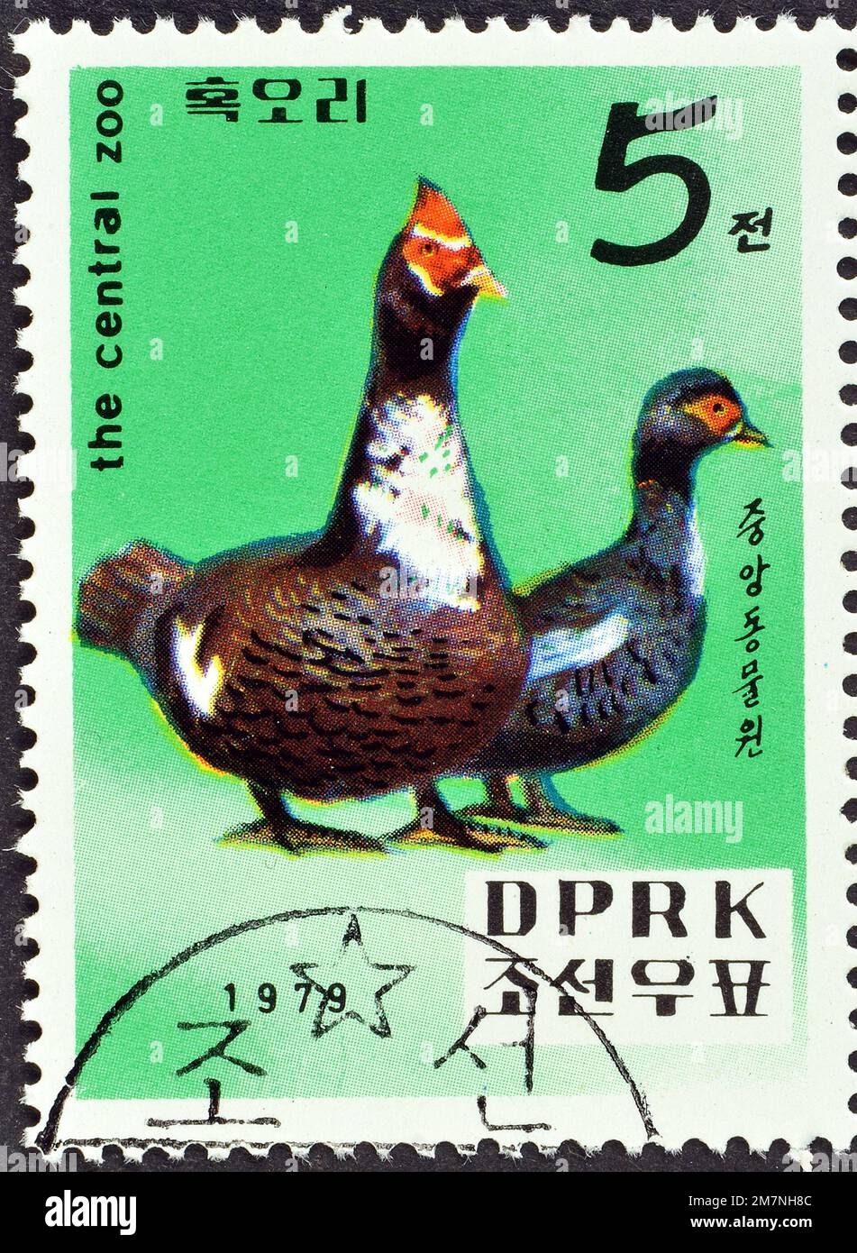 Cancelled postage stamp printed by North Korea, that shows Muscovy Duck ...