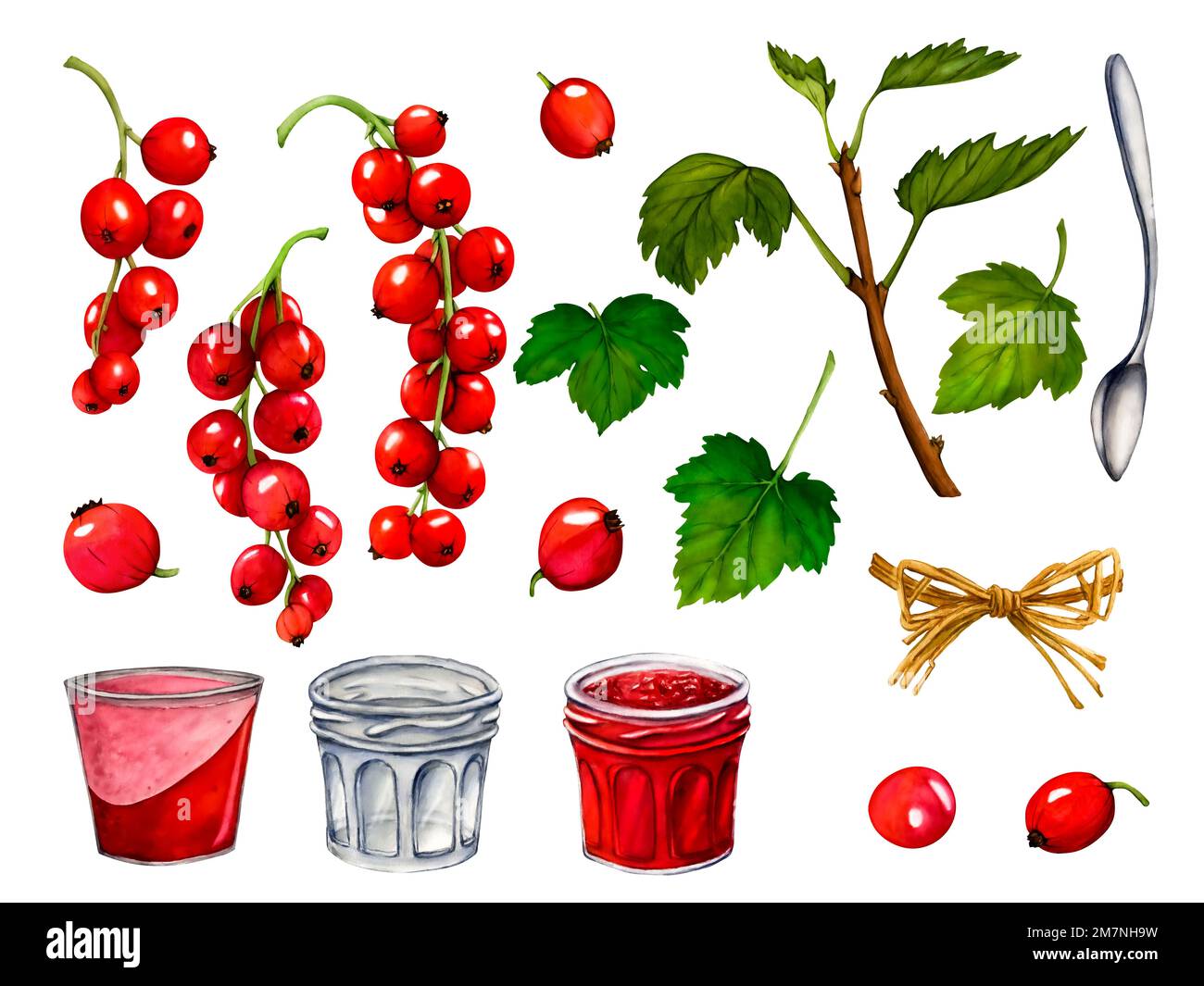Watercolor set of red ripe currant berries isolated on white background ...