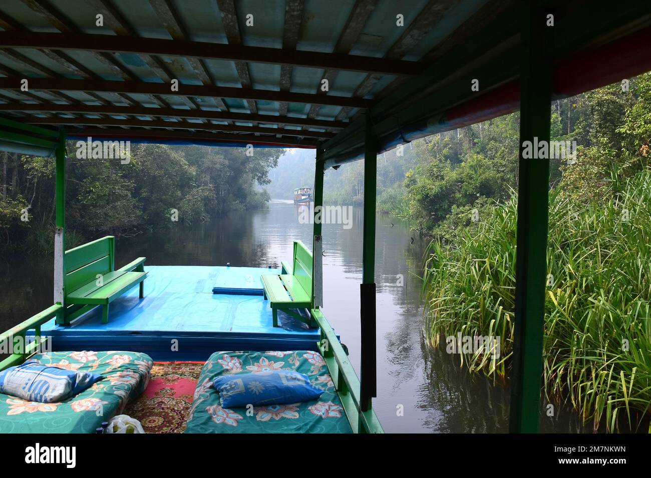 wooden klotok houseboat, Sekonyer River, swamp forest, Tanjung Puting ...