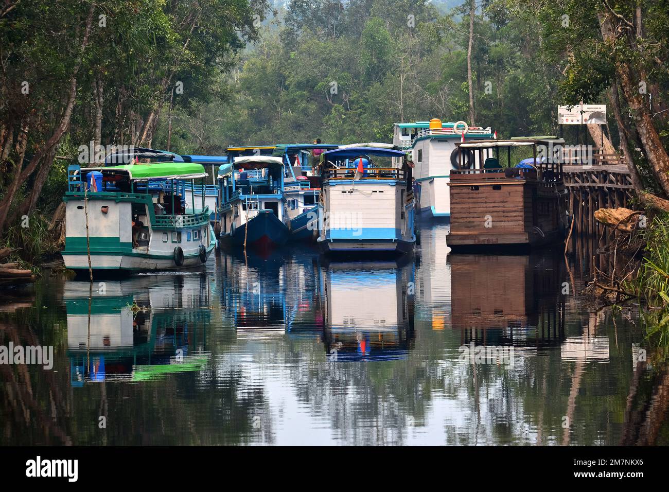 wooden klotok houseboat, Sekonyer River, swamp forest, Tanjung Puting ...