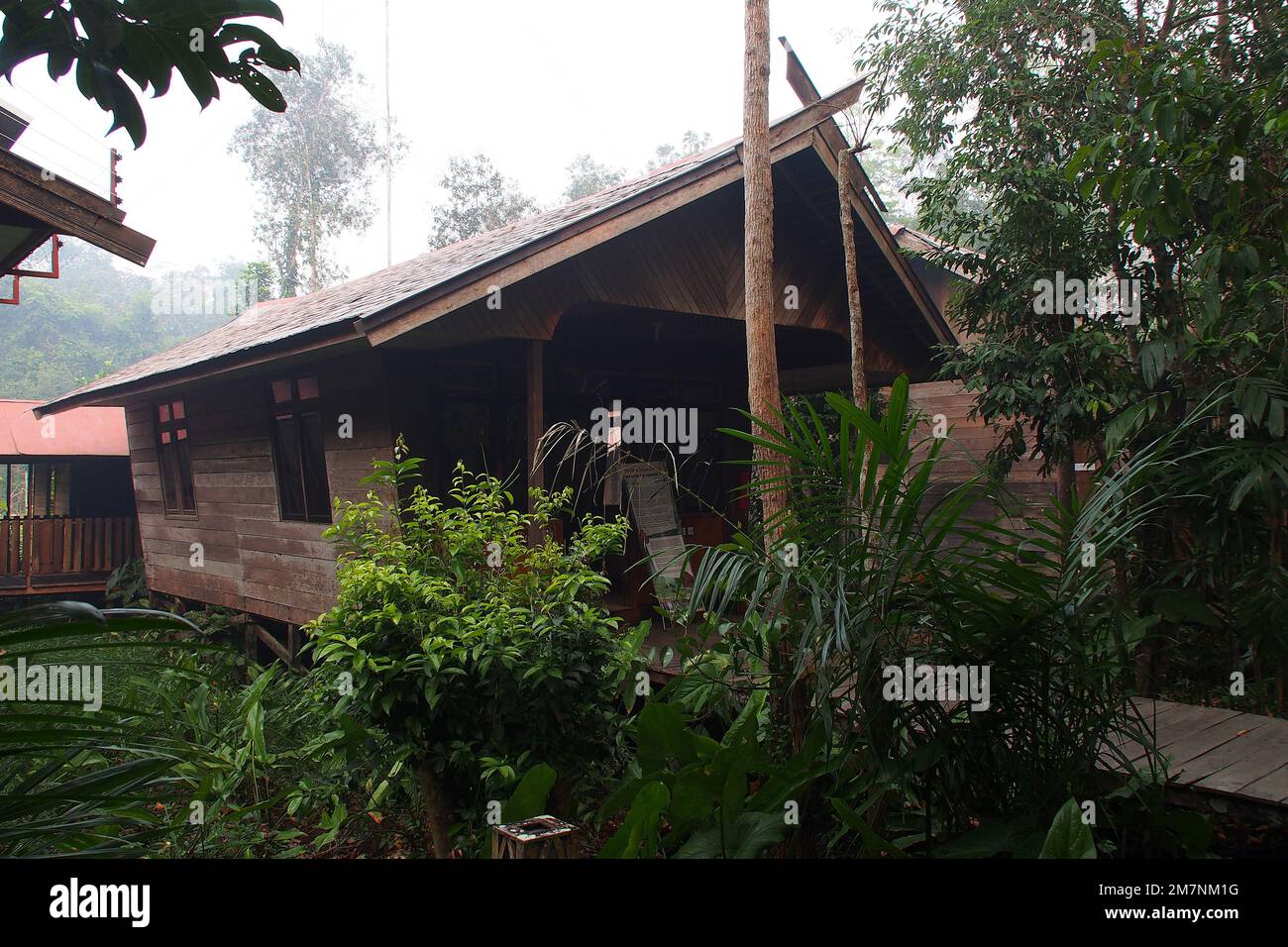 Rimba Orangutan Eco Lodge, swamp forest, Tanjung Puting National Park ...