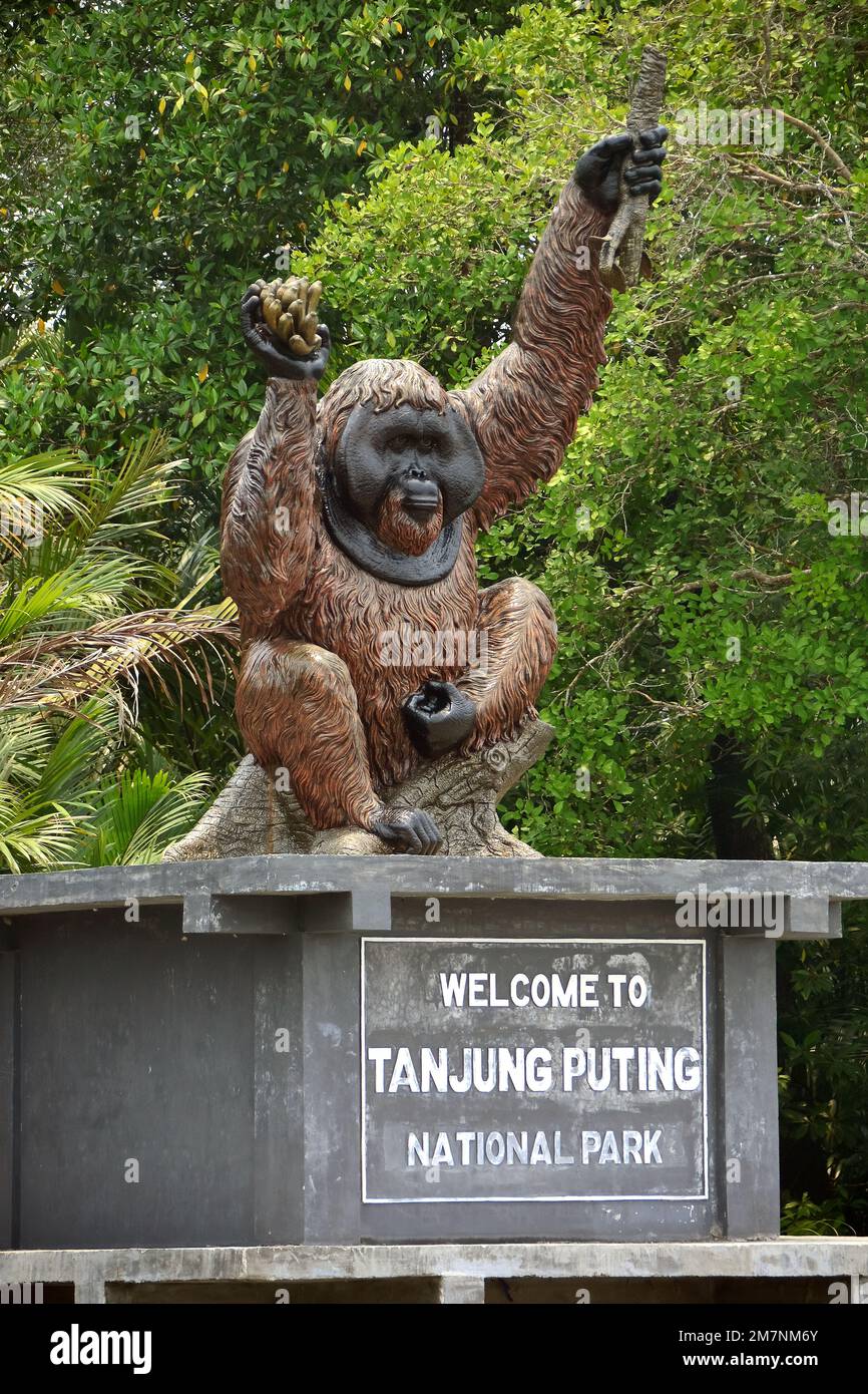 orangutan statue, swamp forest, Tanjung Puting National Park ...