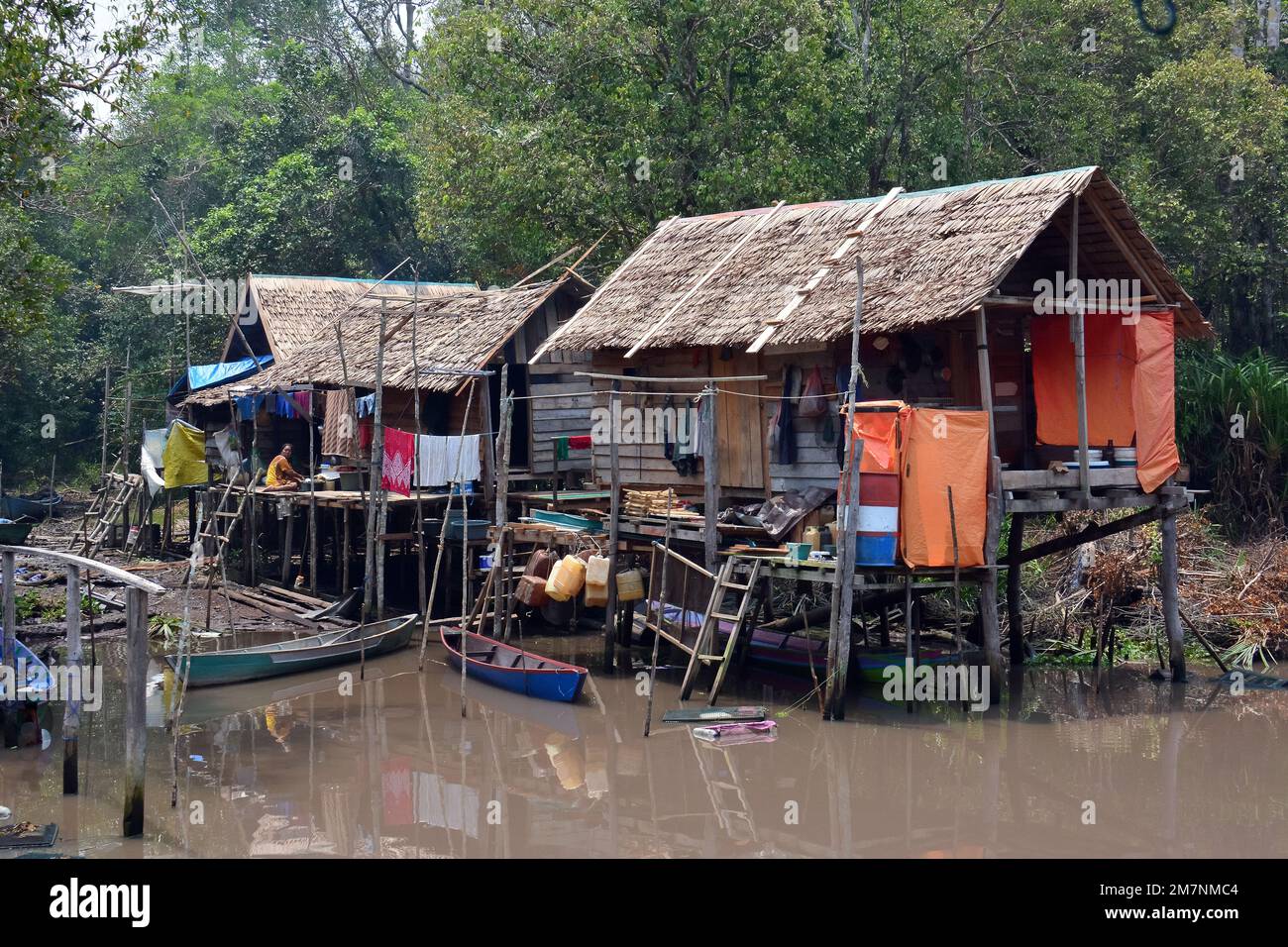 wooden houses, swamp forest, Tanjung Puting National Park, Kalimantan ...