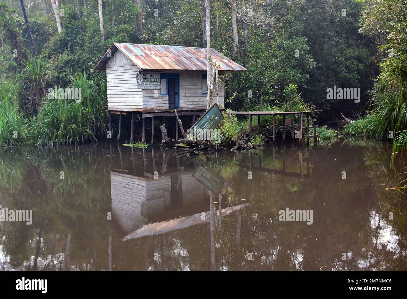 wooden houses, Sekonyer River, swamp forest, Tanjung Puting National ...