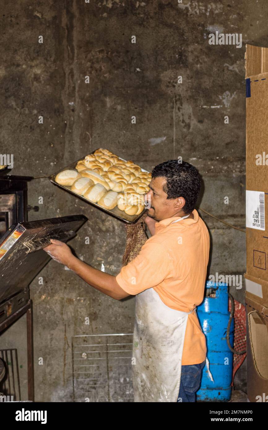 Baker loads shaped and risen breads into a small scale commercial oven ...