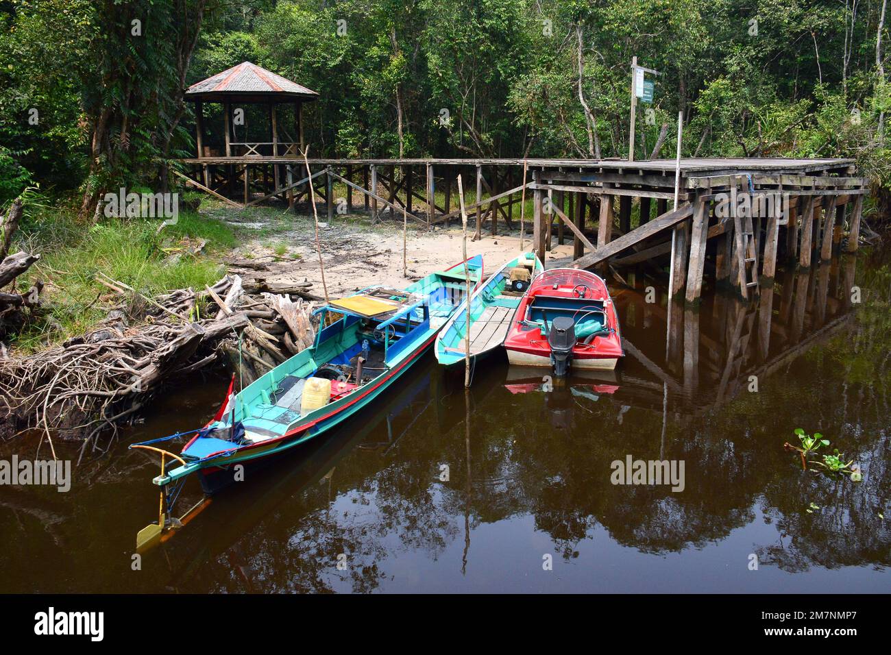 Sekonyer River, swamp forest, Tanjung Puting National Park, Kalimantan ...