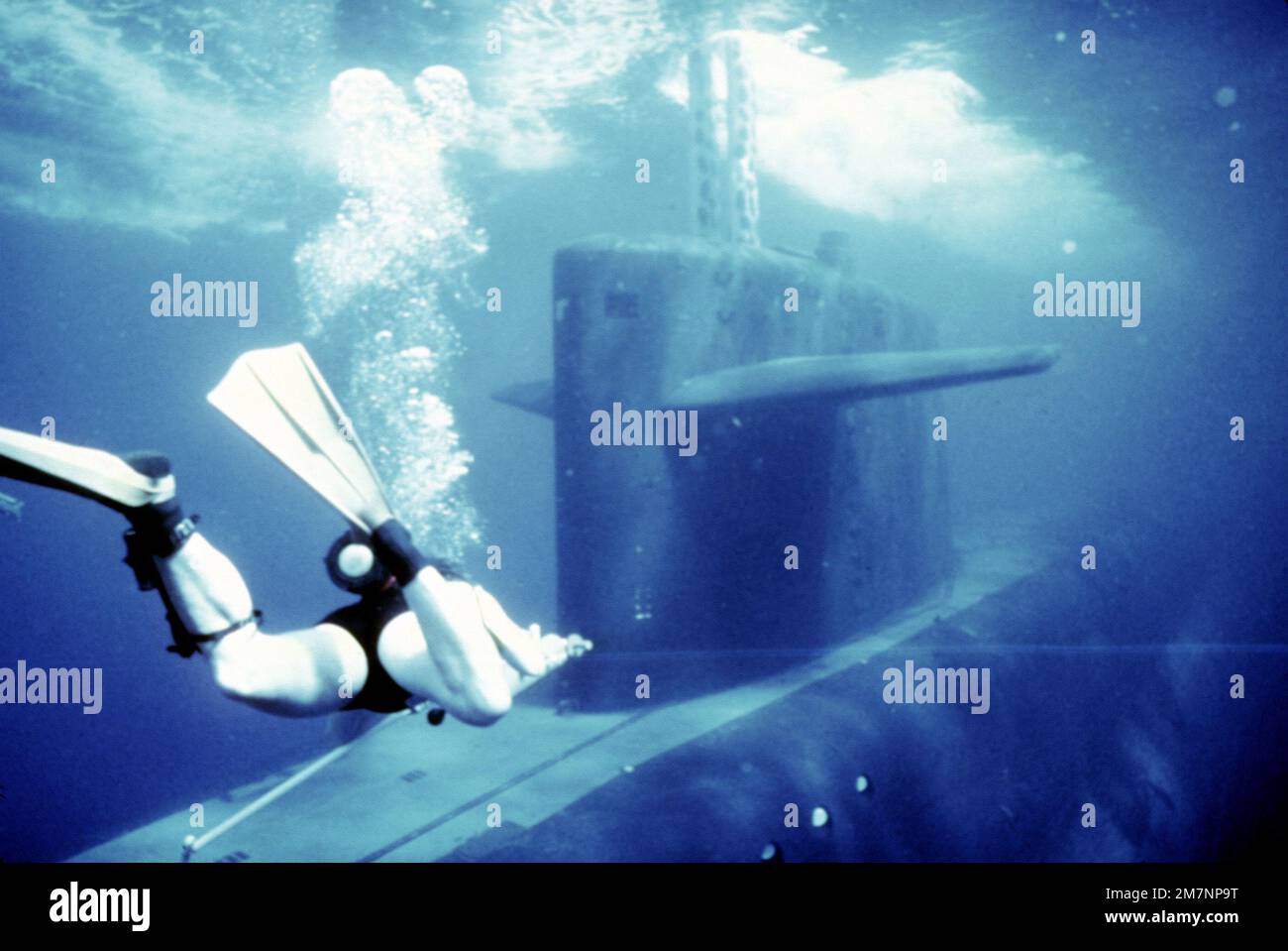 SENIOR CHIEF Photographer's Mate, Diver David Graver, collects data for ...