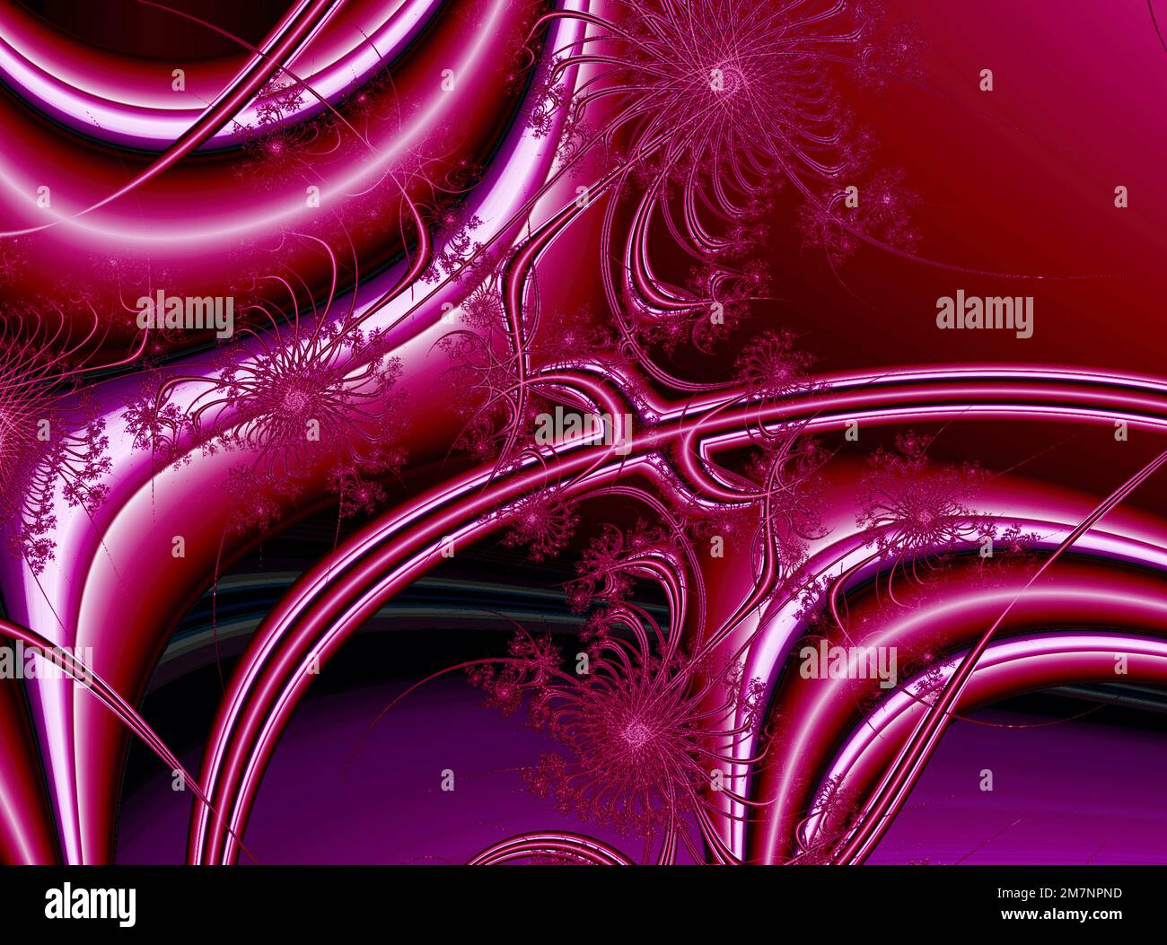 purple red abstract line drawing, digital graphic, background, design ...