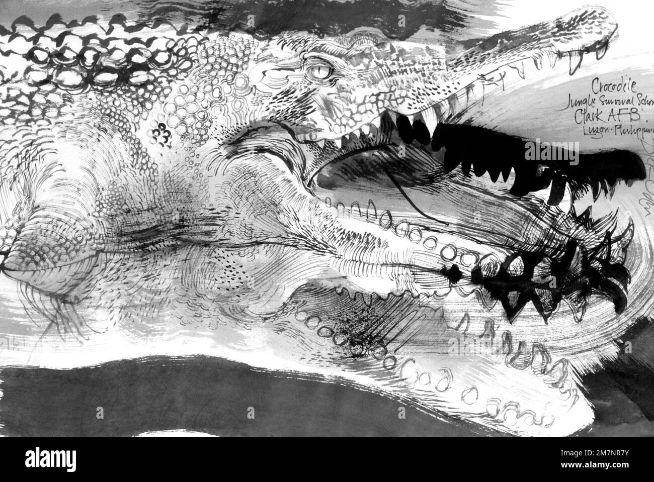 Artwork: "Crocodile, Jungle Survival School, Philippines" Artist ...