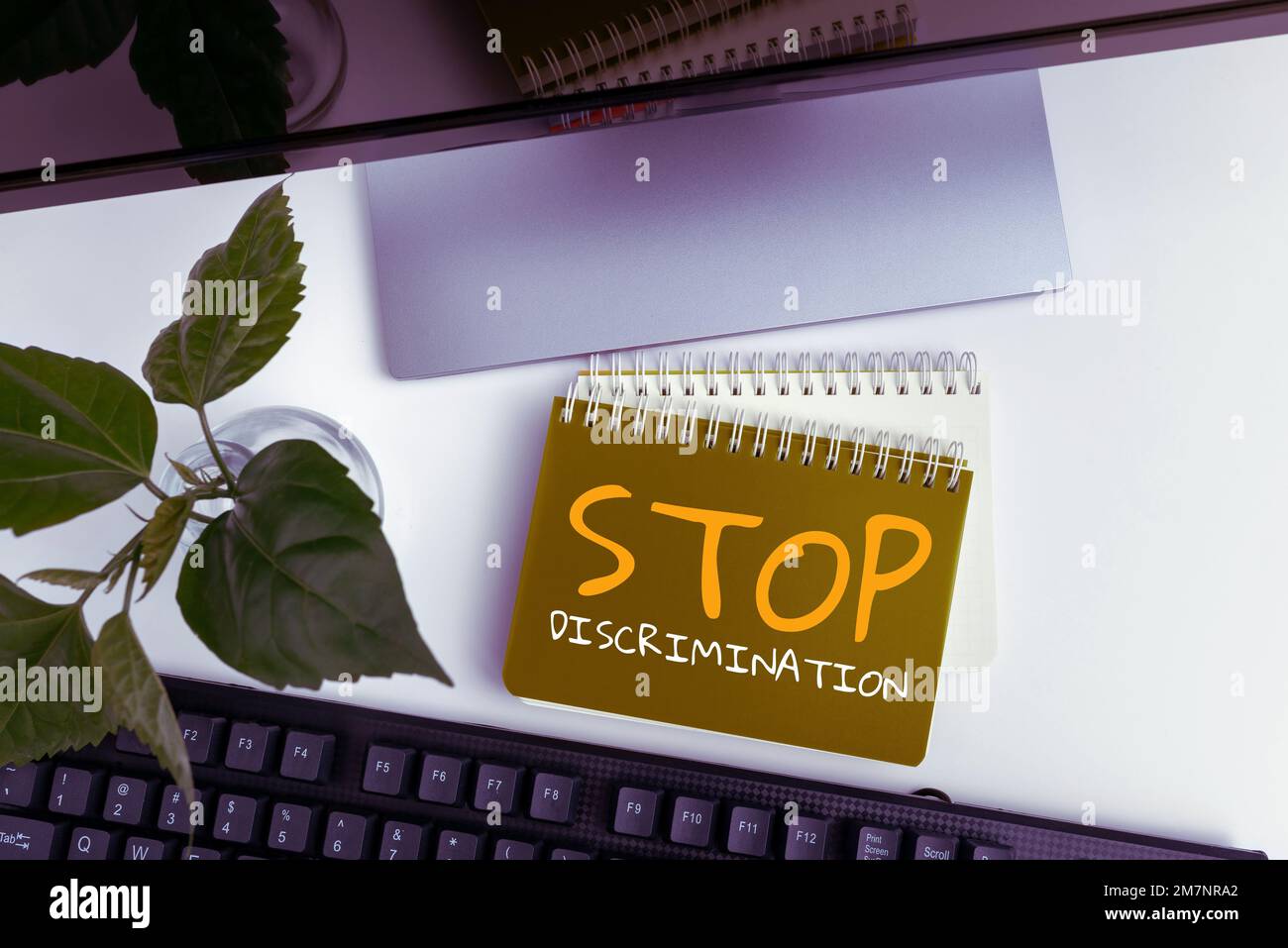 Conceptual display Stop Discrimination. Business overview Prevent ... Conceptual display Stop Discrimination. Business overview Prevent ...