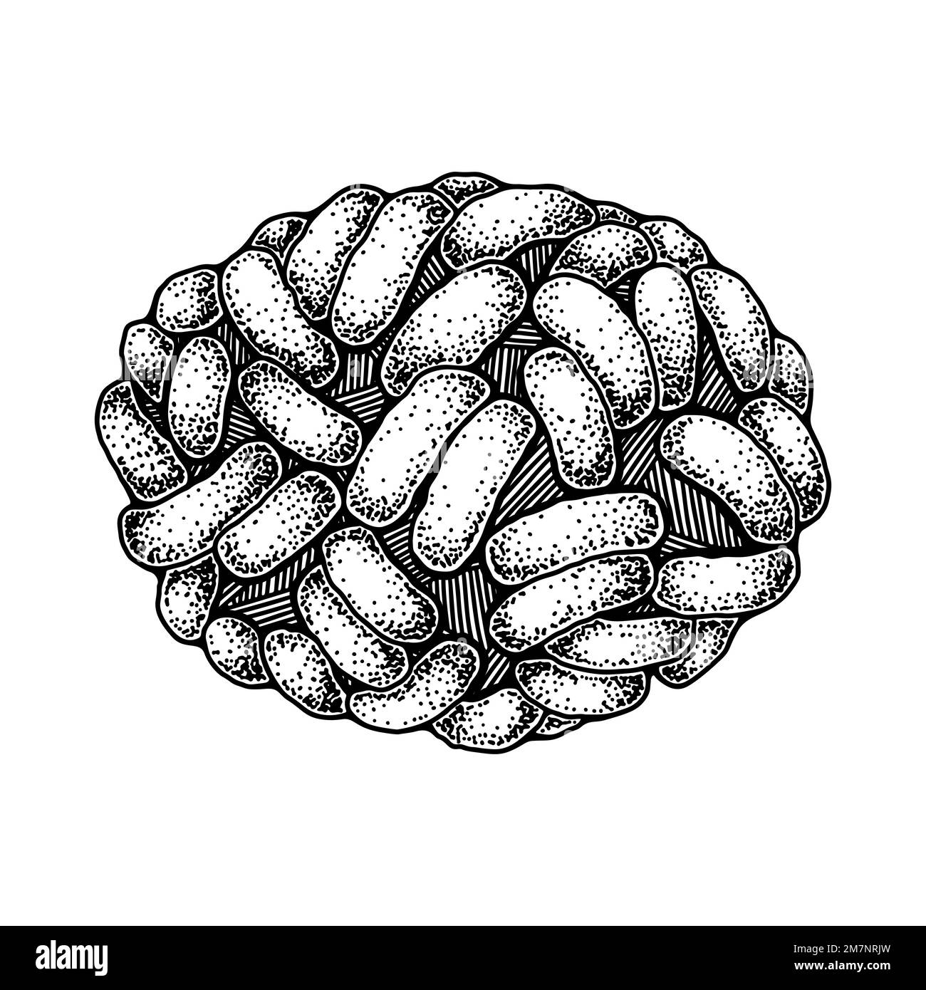 Hand drawn smallpox virus isolated on white background. Realistic ...