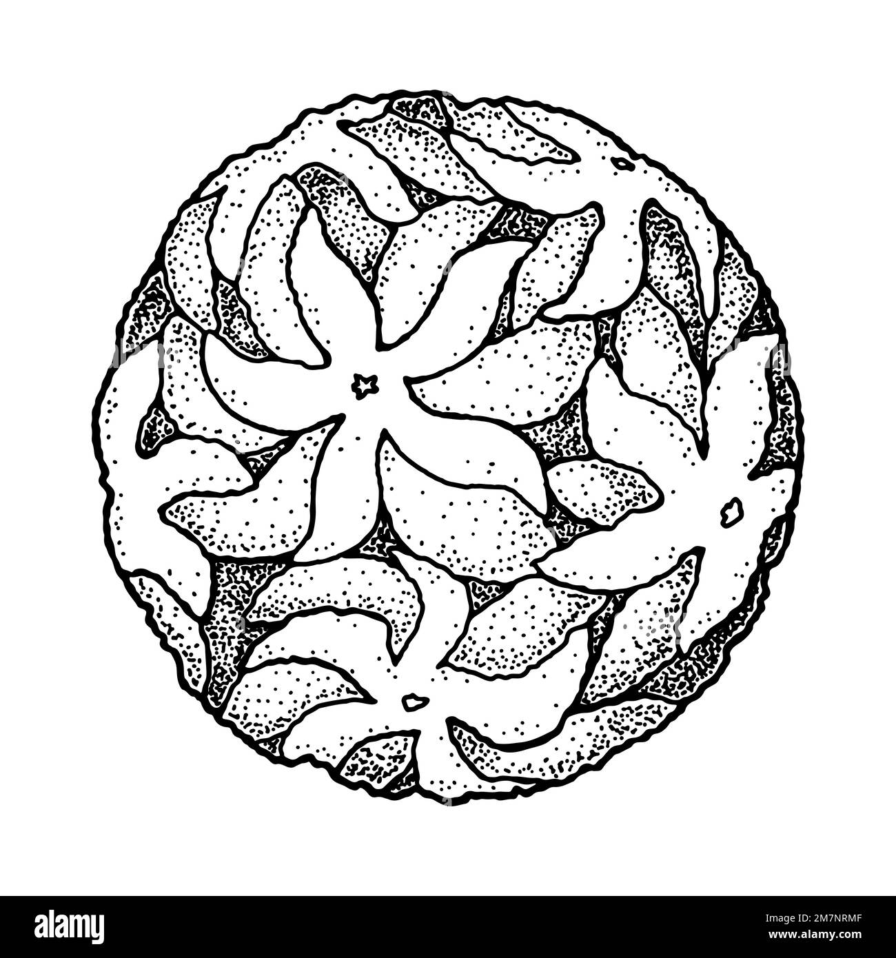 Hand drawn zika virus isolated on white background. Realistic detailed ...