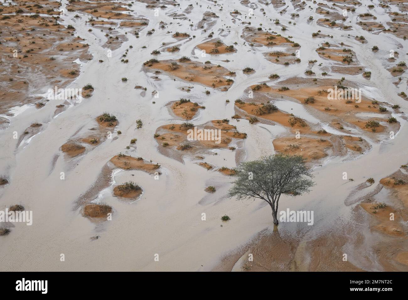 Haradh, Saudi Arabia - January 10th, 2023, Illustration during the ...