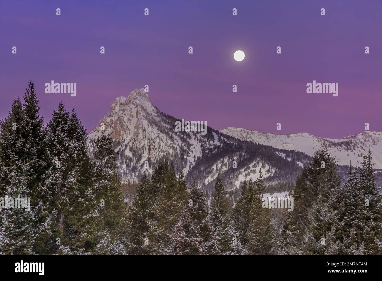 full moon setting in a pre-dawn sky above ross peak in the bridger ...