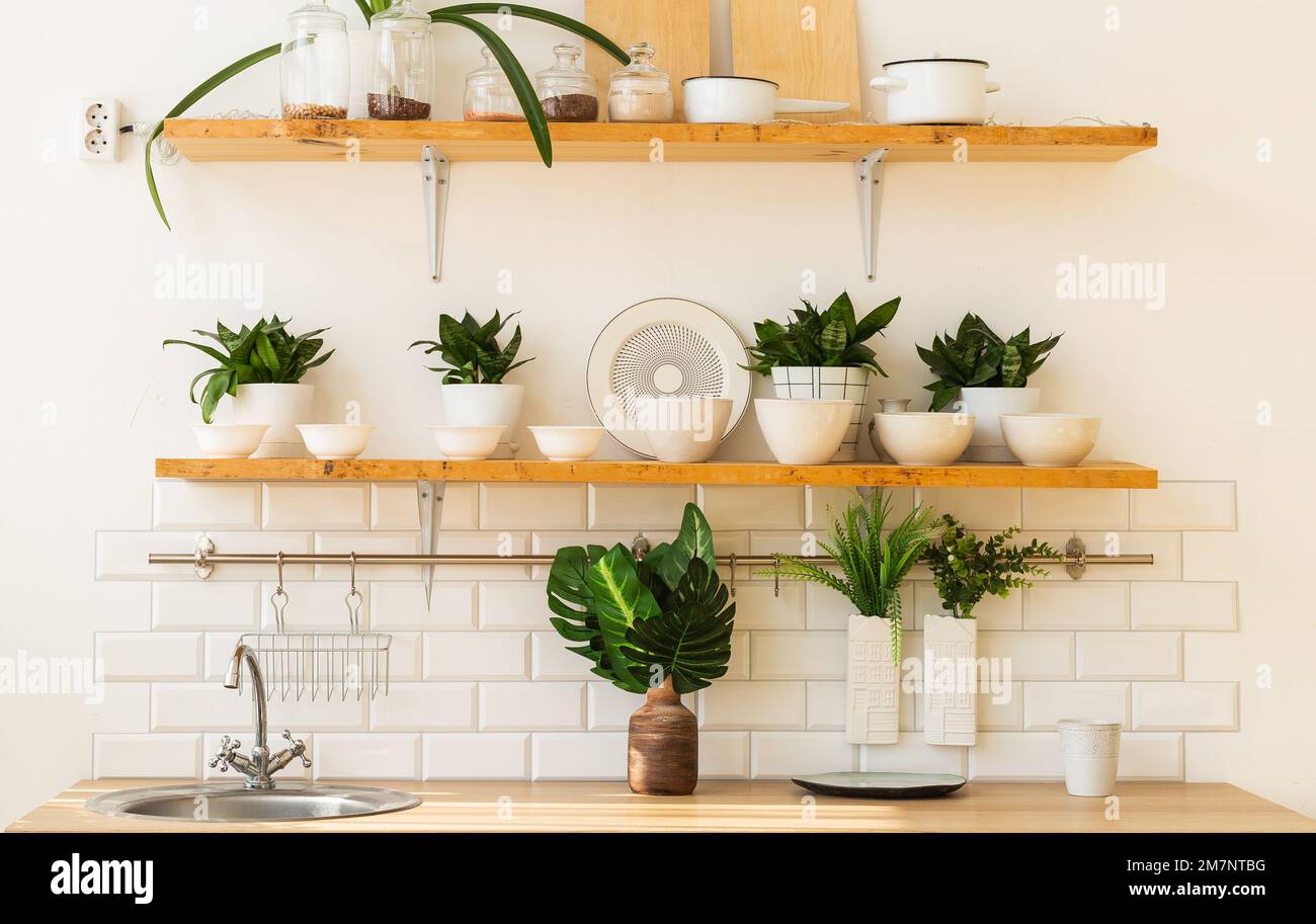 Stylish scandinavian open space with kitchen accessories and plants ...