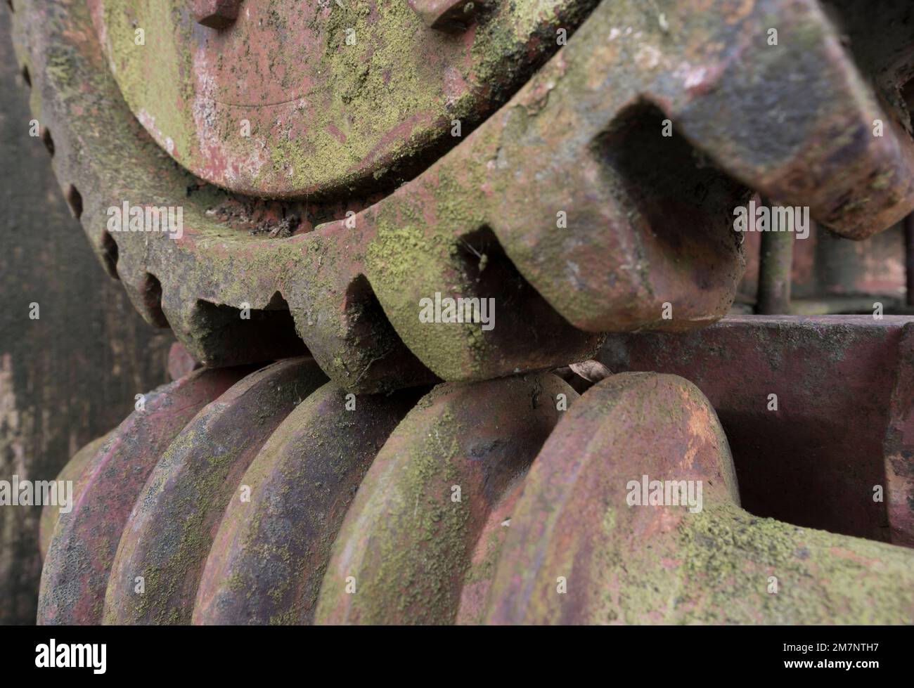 worm gearing of a historic machine Stock Photo - Alamy