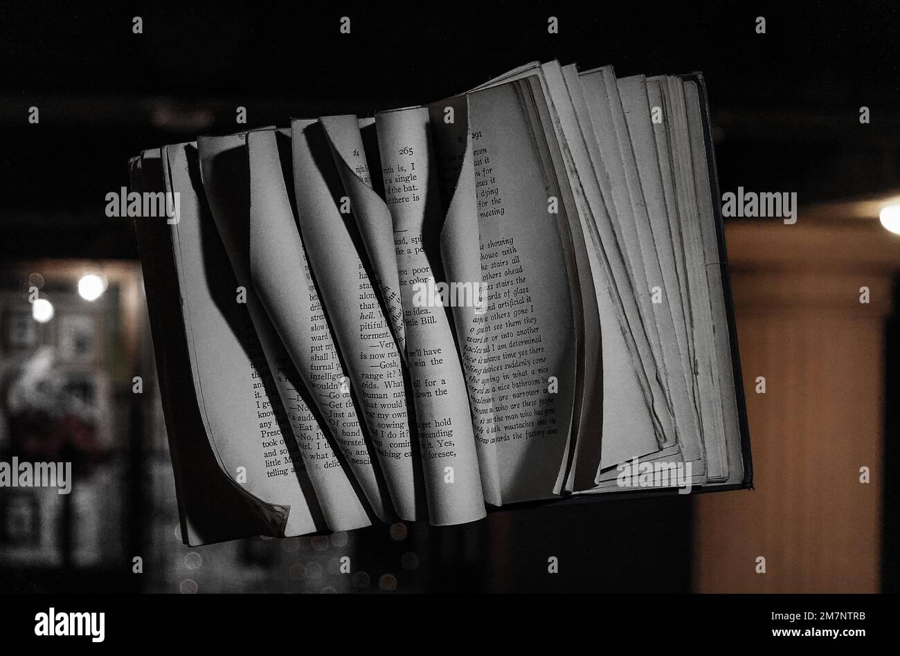 An open book with rolled pages against blurred background Stock Photo ...