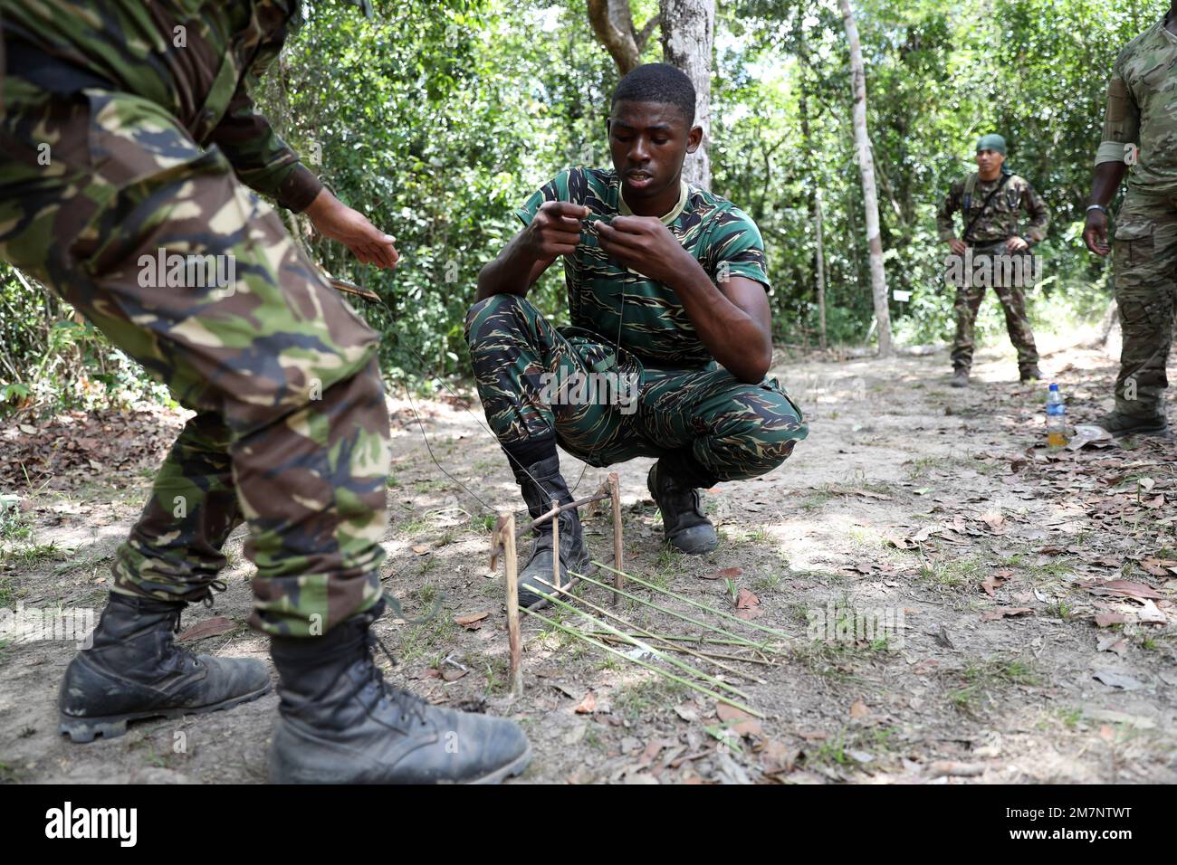 U.S. partner nation troops train on constructing traps in a jungle-like ...