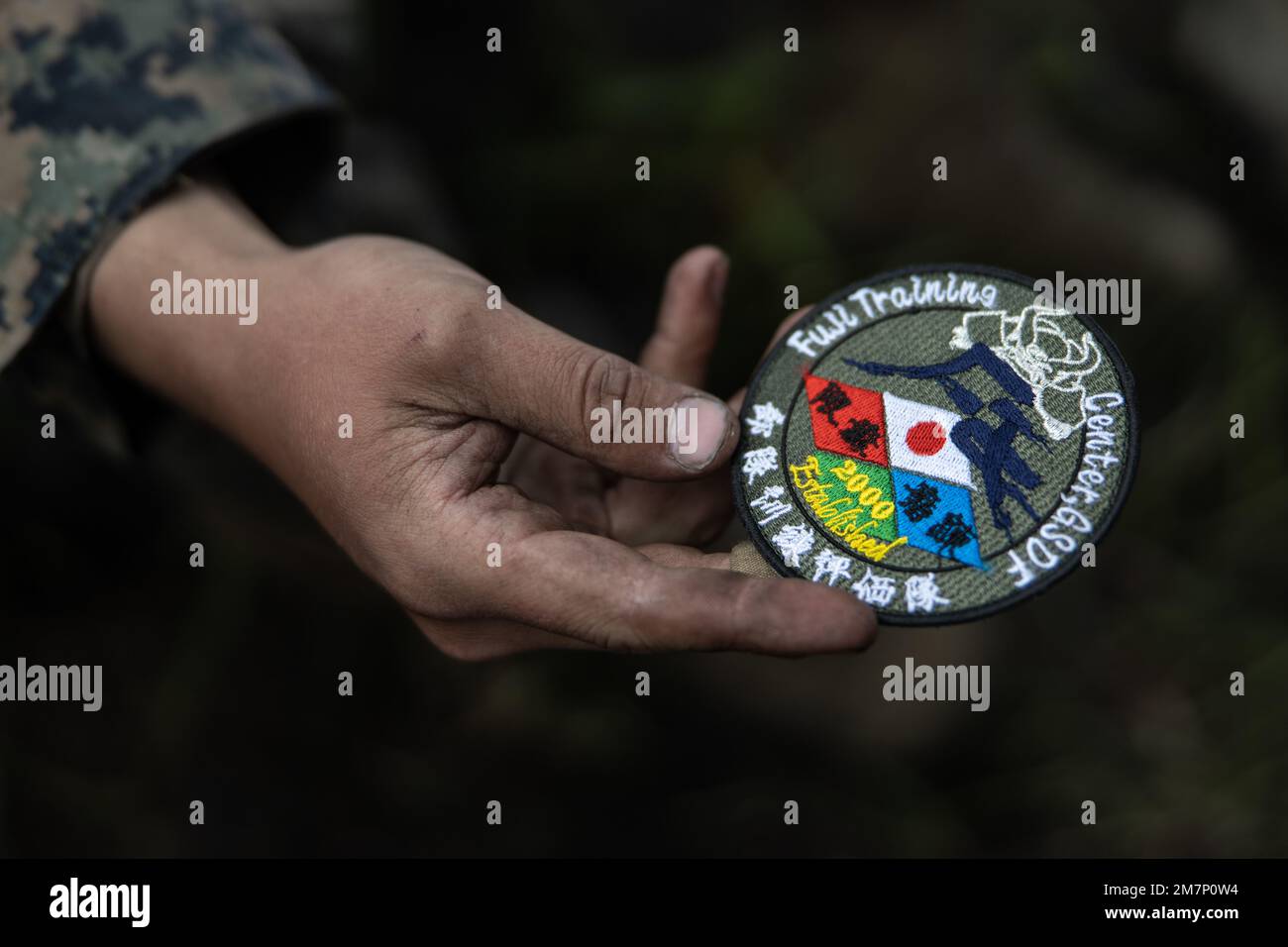 1st marine division patch hi-res stock photography and images - Alamy