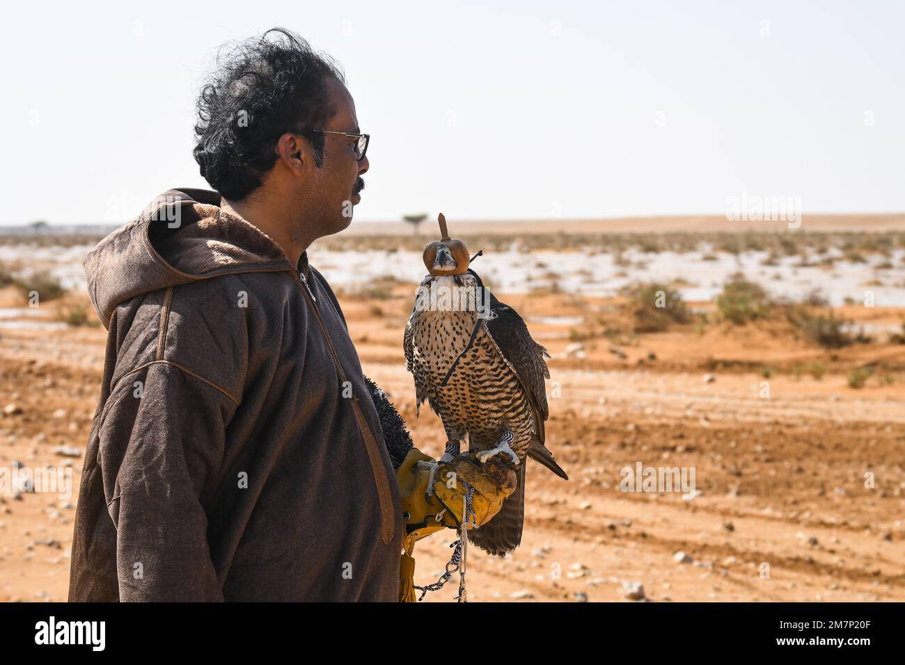 Haradh, Saudi Arabia - January 10th, 2023, Illustration, loca during ...