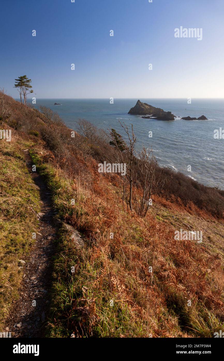 Outer froward point point devon hi-res stock photography and images - Alamy