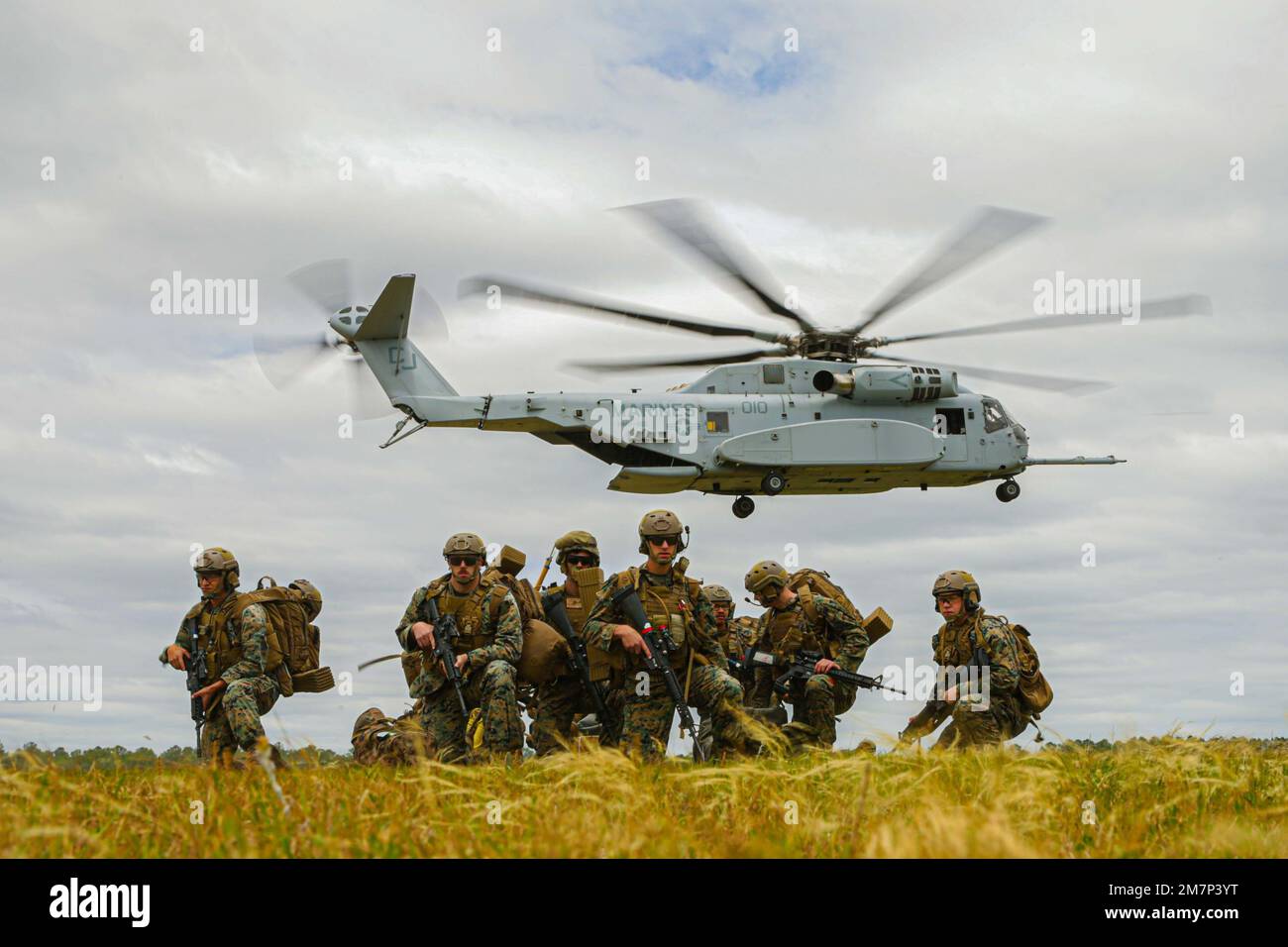 U.S. Marines with 2nd Landing Support Battalion, Combat Logistics ...