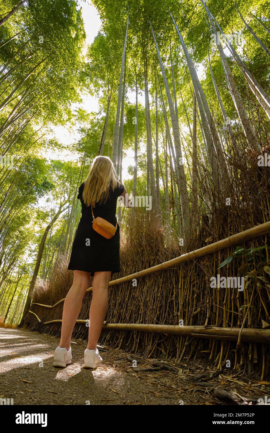 Woman standing against bamboo plants in forest Stock Photo - Alamy
