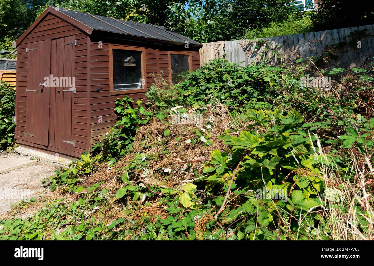 Overgrown garden uk hi-res stock photography and images - Alamy