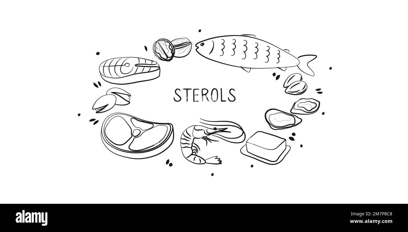 Sterols-containing food. Groups of healthy products containing vitamins ...