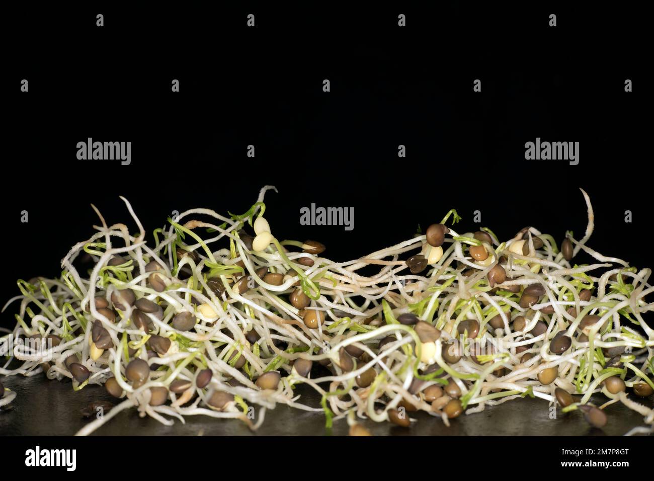 Beluga lentils lens culinaris hi-res stock photography and images - Alamy