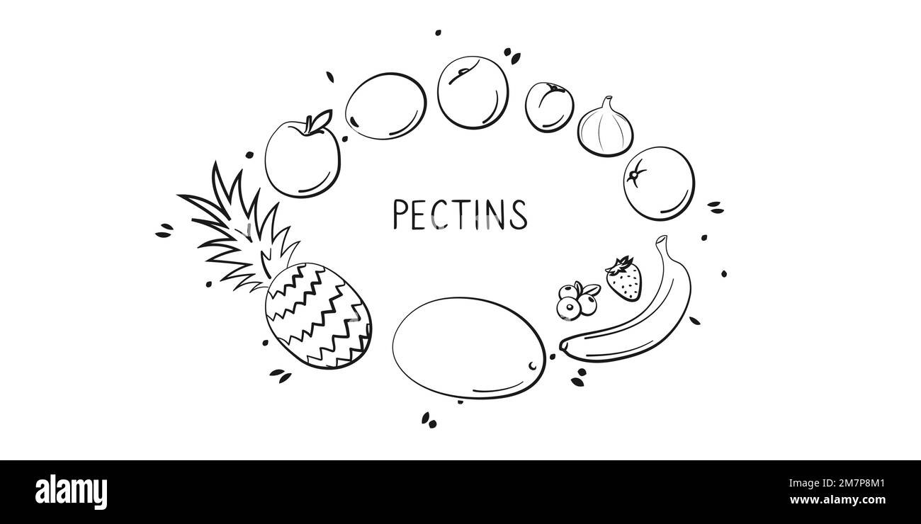 Pectins-containing food. Groups of healthy products containing vitamins ...