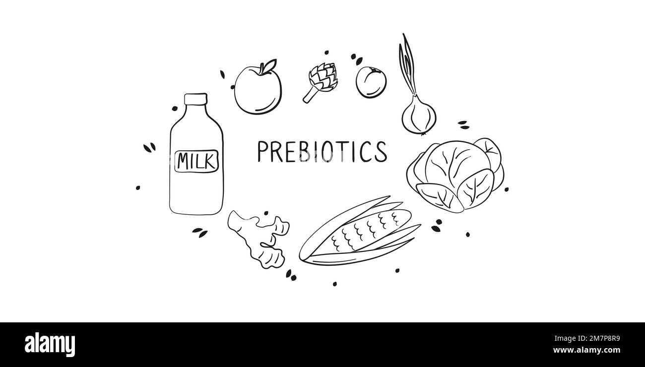 Prebiotics-containing food. Groups of healthy products containing ...